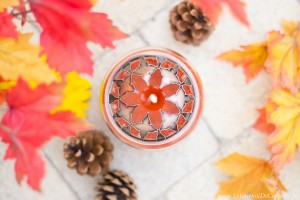 Harvest Time : La collection d'automne de Yankee Candle